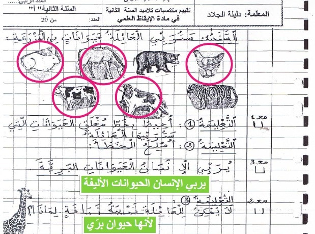 Sciences Éveil 3ème Trimestre - 2ème Année : Révisions et Solutions